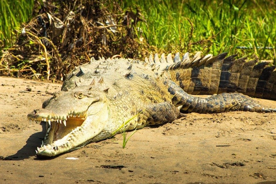 Good Will Hunting Screenplay PDF | Download the Oscar-Winning Script